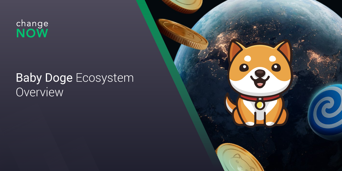Baby Doge Ecosystem Overview